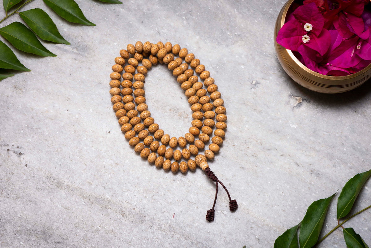 Natural Lotus Seed Mala: 108 Beads Prayer Japa Mala Necklace for Medit ...